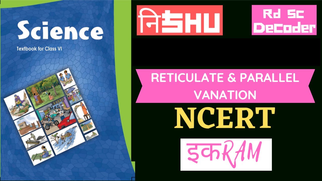 Reticulate & Parallel Venation | Getting To Know Plants | Ncert ...