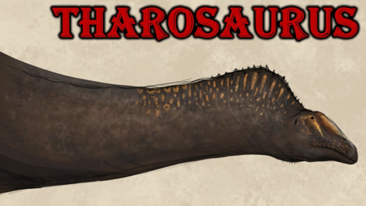 tharosaurus - YouTube