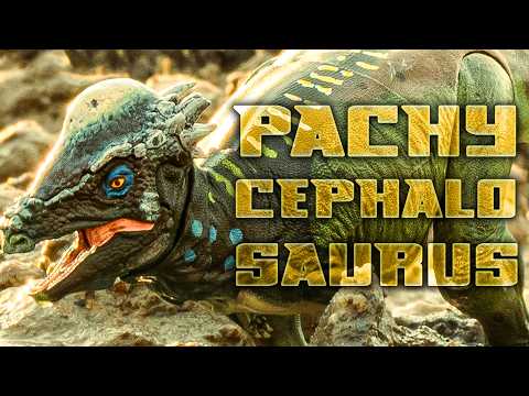 The Thick-Headed Lizard! Beast Spotlight Pachycephalosaurus
