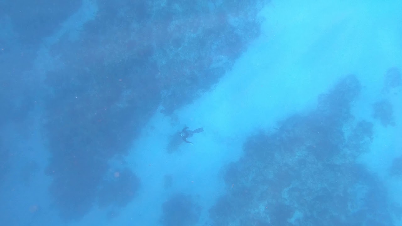 Freediving 50 Feet - YouTube