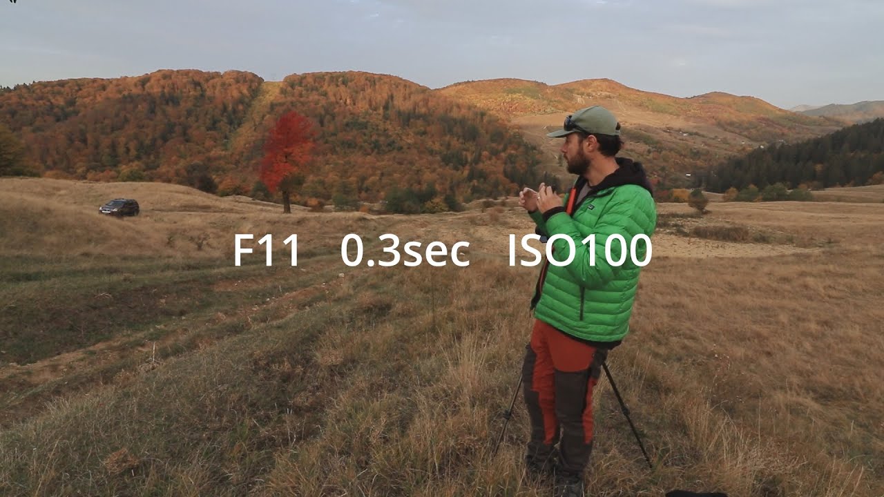 Fotografie de Peisaj toamna: copaci cu frunze rosii - YouTube