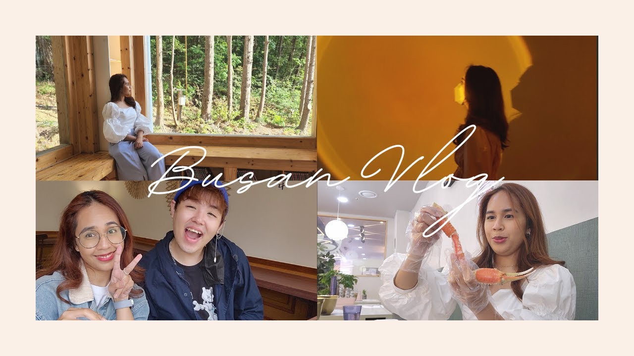 Busan Vlog | ootd exhibit, snow crab mukbang, book cafe in the forest ...