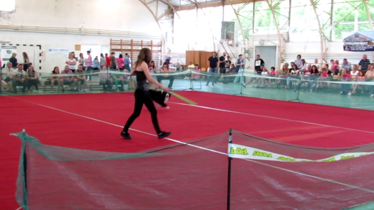 Caesar ~ Border Collie | Dog Dancing Competition - YouTube