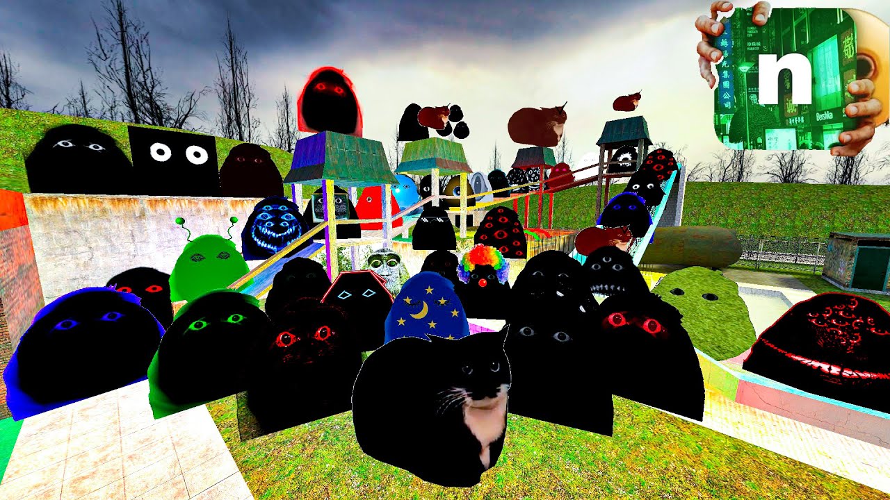 Angry MUNCI Family & Angry MAXWELL CAT in WATER PARK! - YouTube