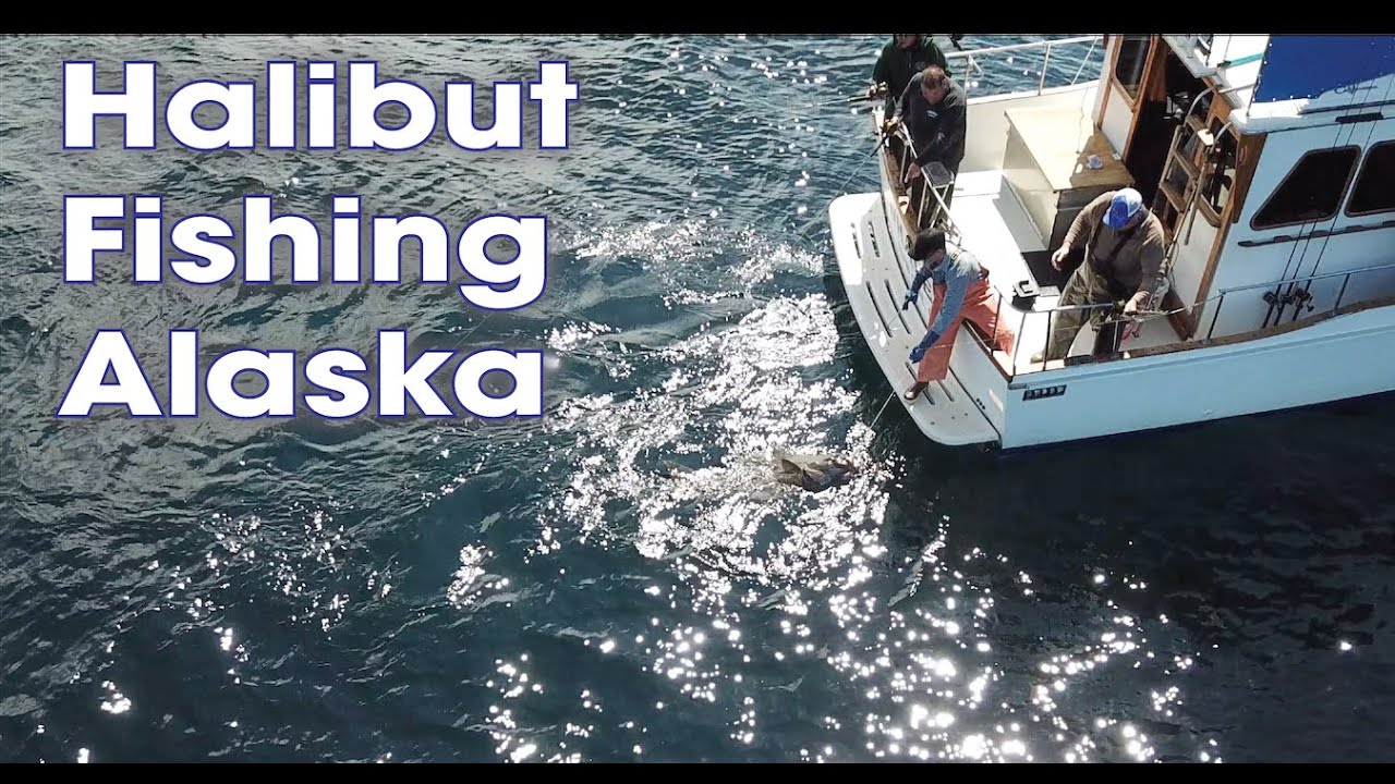 Halibut and Lingcod fishing in Alaska! - YouTube