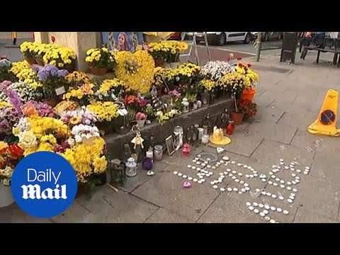 Town centre pays respects to Alice Gross funeral procession - Daily ...