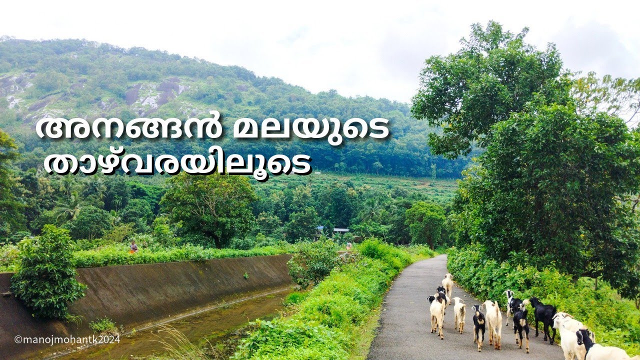 അനങ്ങൻ മല | Anangan mala - YouTube