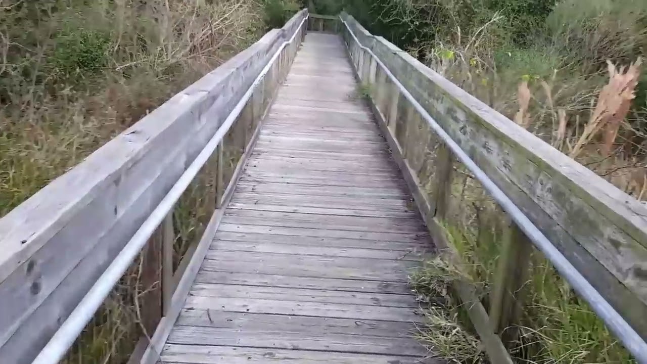 BigRigTravels Segway Adventure - Running the Marsh Boardwalk Trail ...