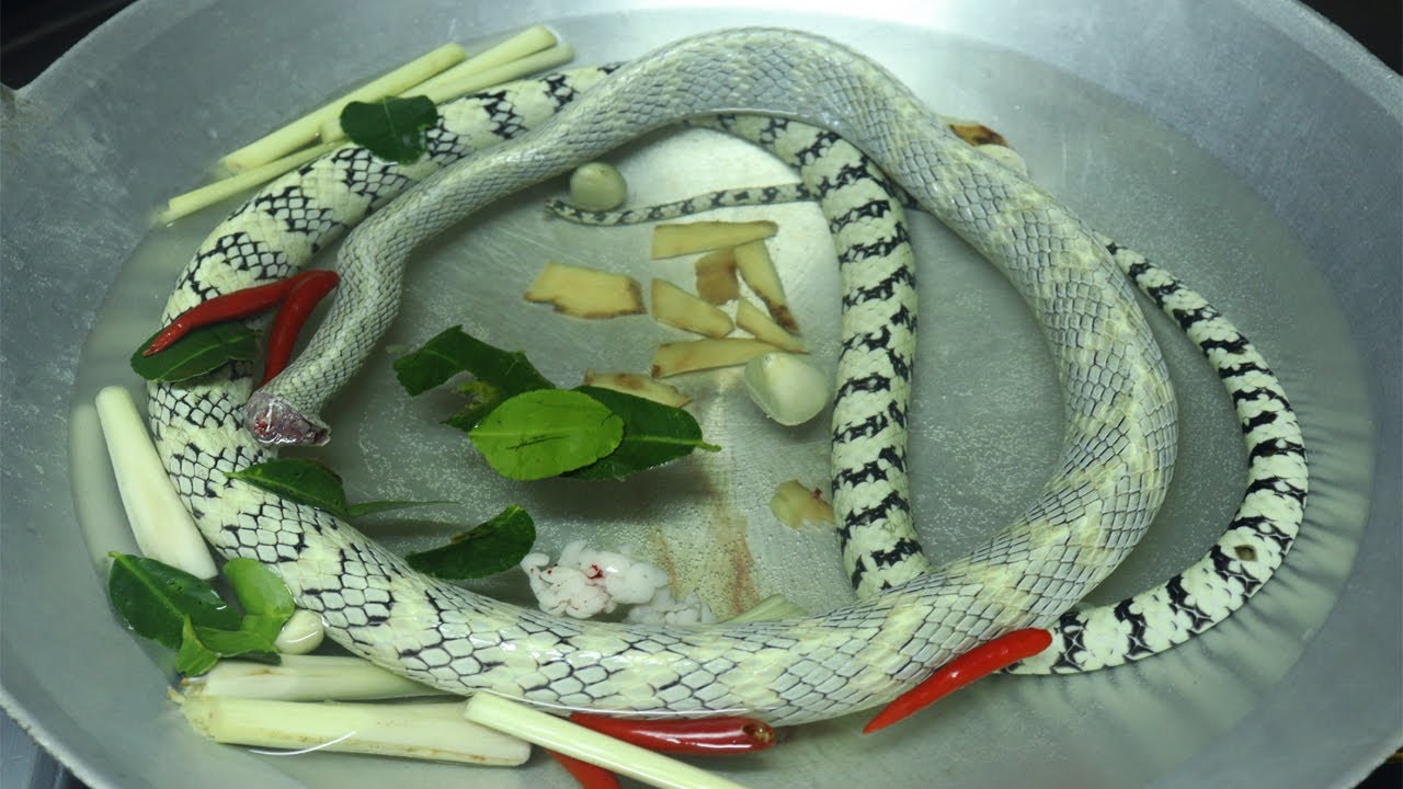 Supper Yummy Snake Soup | Clean and Cook Snake Soup - YouTube