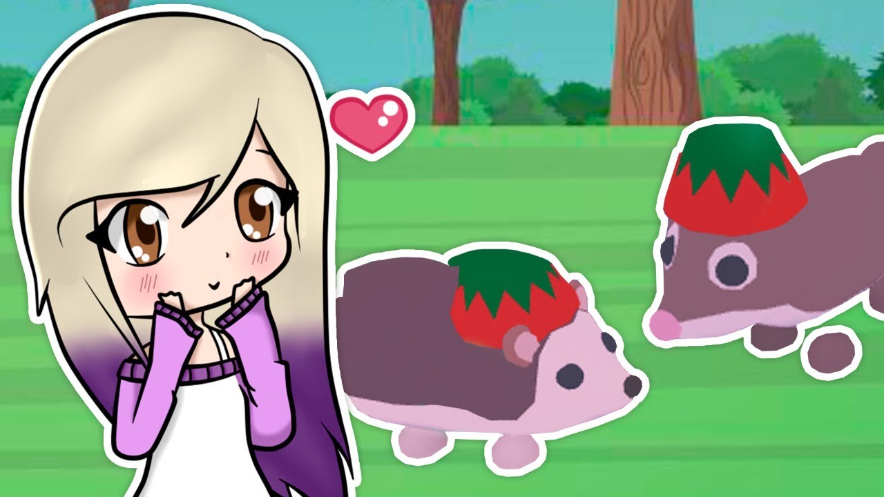 2 NUEVAS MASCOTAS ESPECIALES EN ADOPT ME ROBLOX - YouTube
