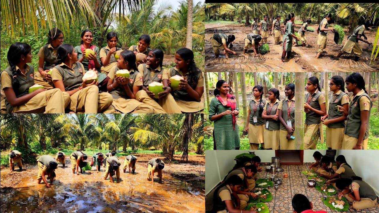 ஆசையில பாத்தி கட்டி நாத்து ஒன்னு நட்டு வைக்க வா பூவாயி🌱vegetable ...