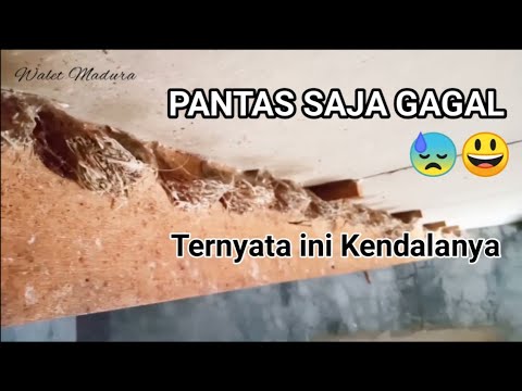 Cara Memilih Telur Walet Untuk Menambah Populasi Walet - YouTube