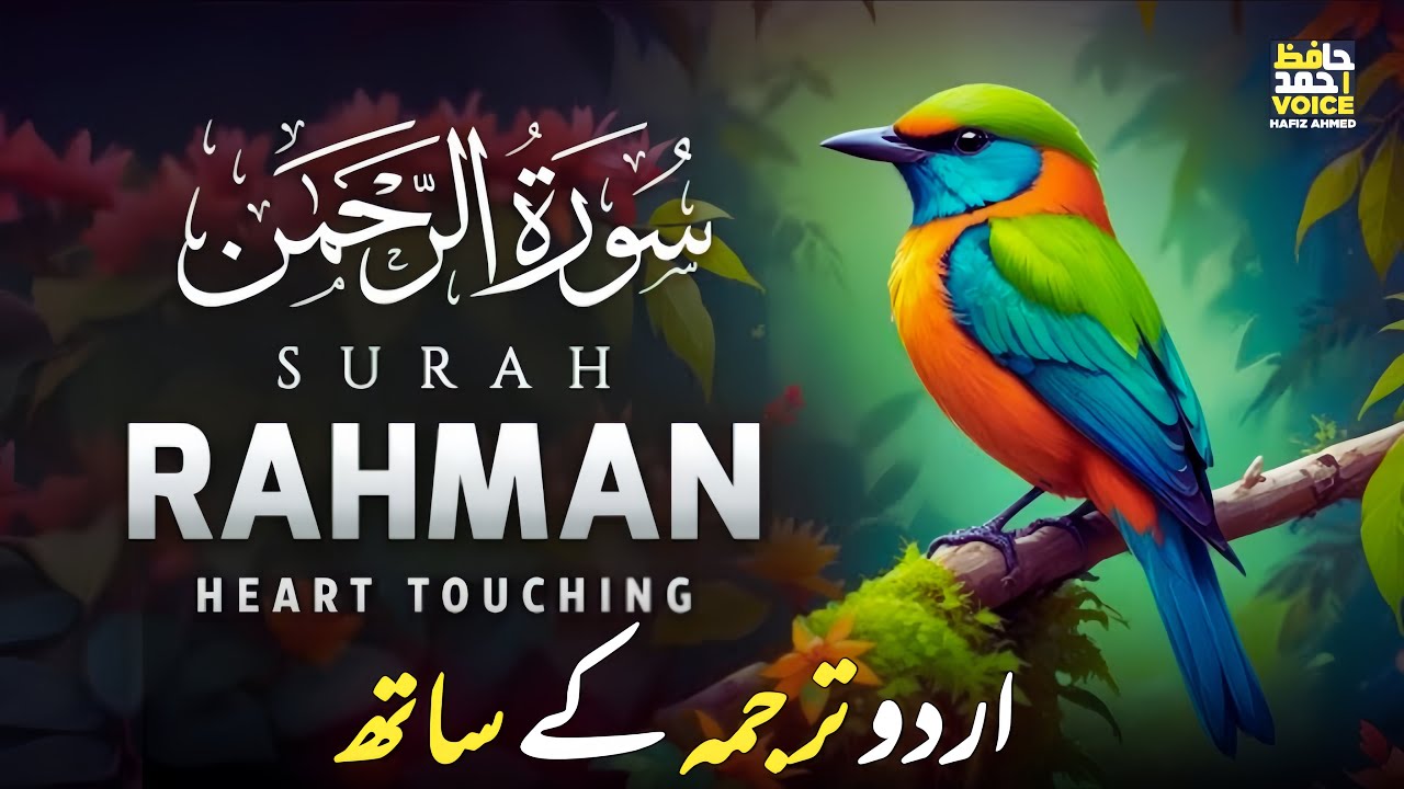 World Best Heart Touching Recitation of Surah Rahman | Ep-00255 | Surah ...