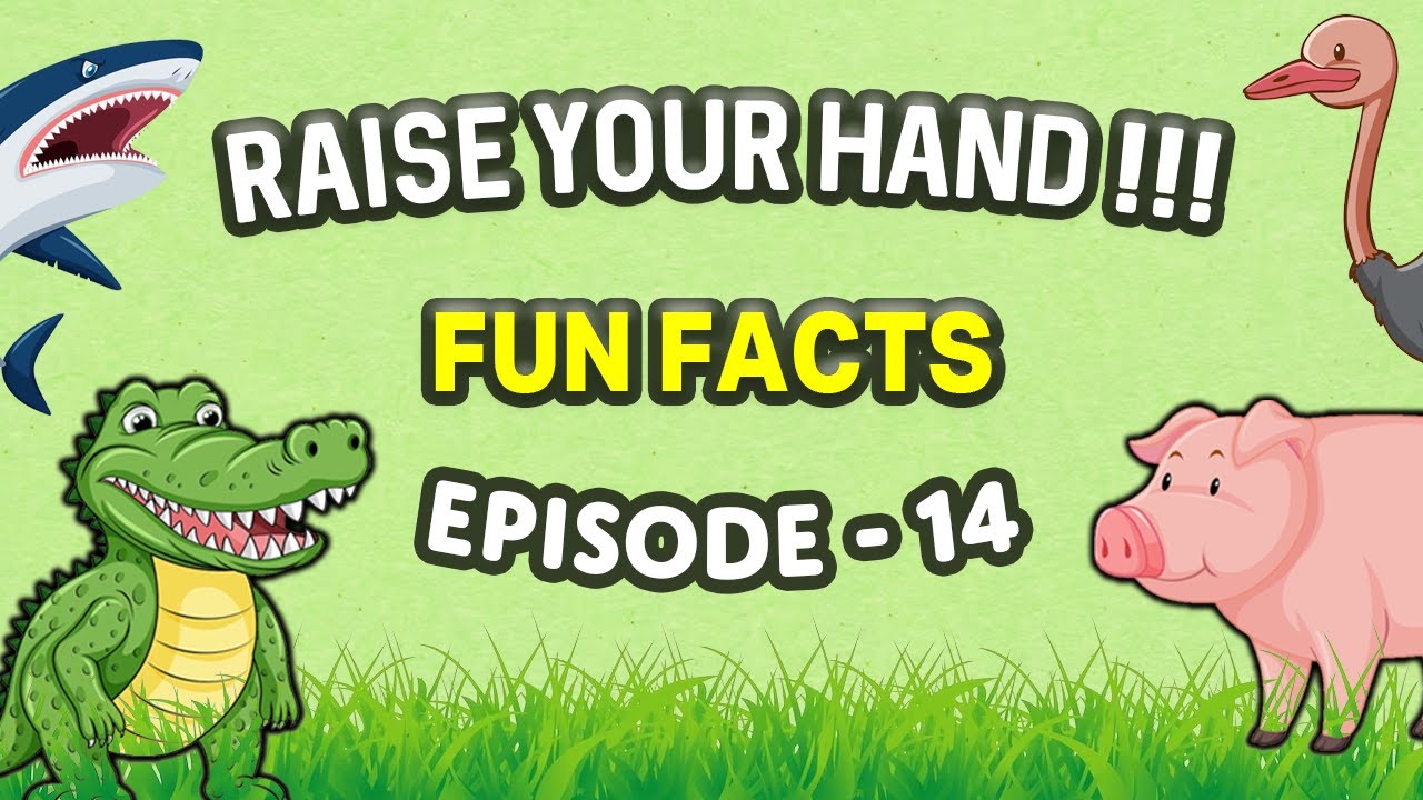 Raise Your Hands | Mind Blowing Facts about Animal 🐊🦈🐷 Episode 14 ...