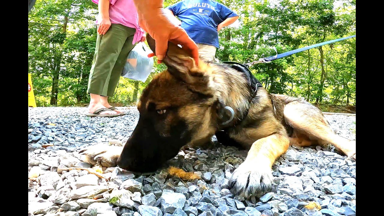 Duke Rescue - YouTube