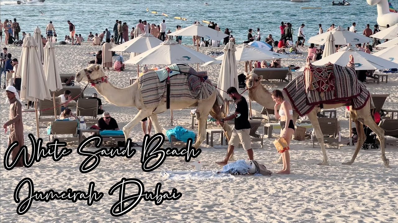 WHITE SAND BEACH | JUMEIRAH 4K VIDEO | DUBAI UNITED ARAB EMIRATES - YouTube
