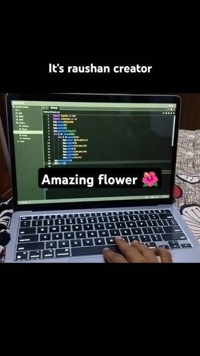 Amazing Flower🌺 By Using Python Programming Language Python Programming Status Coding Macos