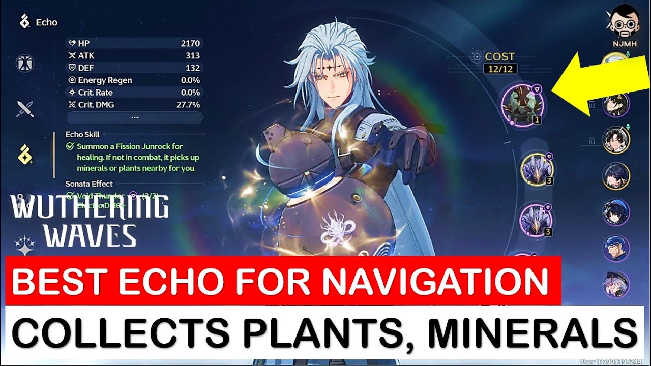 The BEST ECHO for NAVIGATION | This Echo collects Plants, Minerals ...