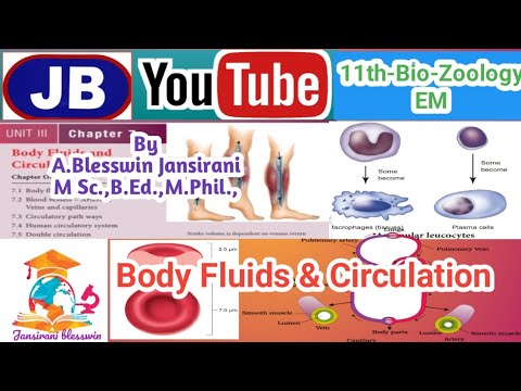 11Th/Bio-Zoo/7.Body Fluids and Circulation/Body Fluids- platelets - YouTube