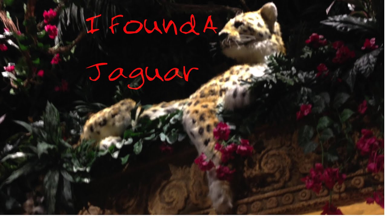 I Found A Stuffed Jaguar at The Rainforest Café - YouTube
