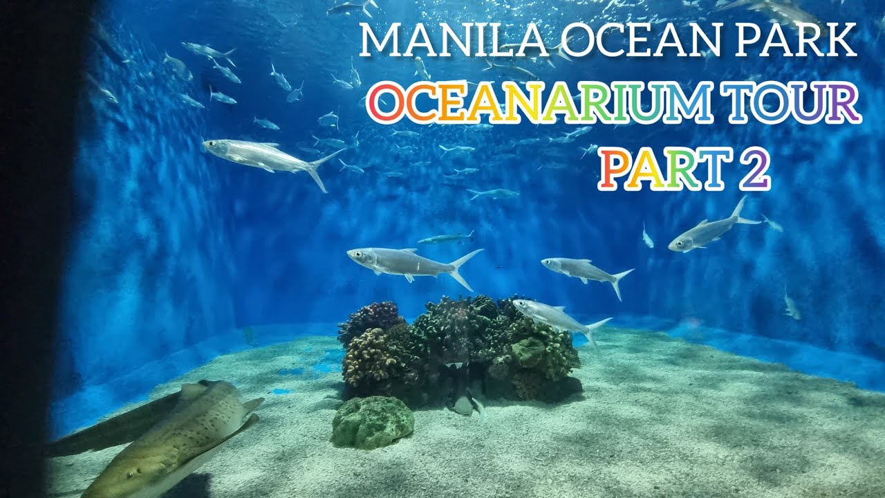 MANILA OCEAN PARK|OCEANARIUM TOUR PART 2 - YouTube
