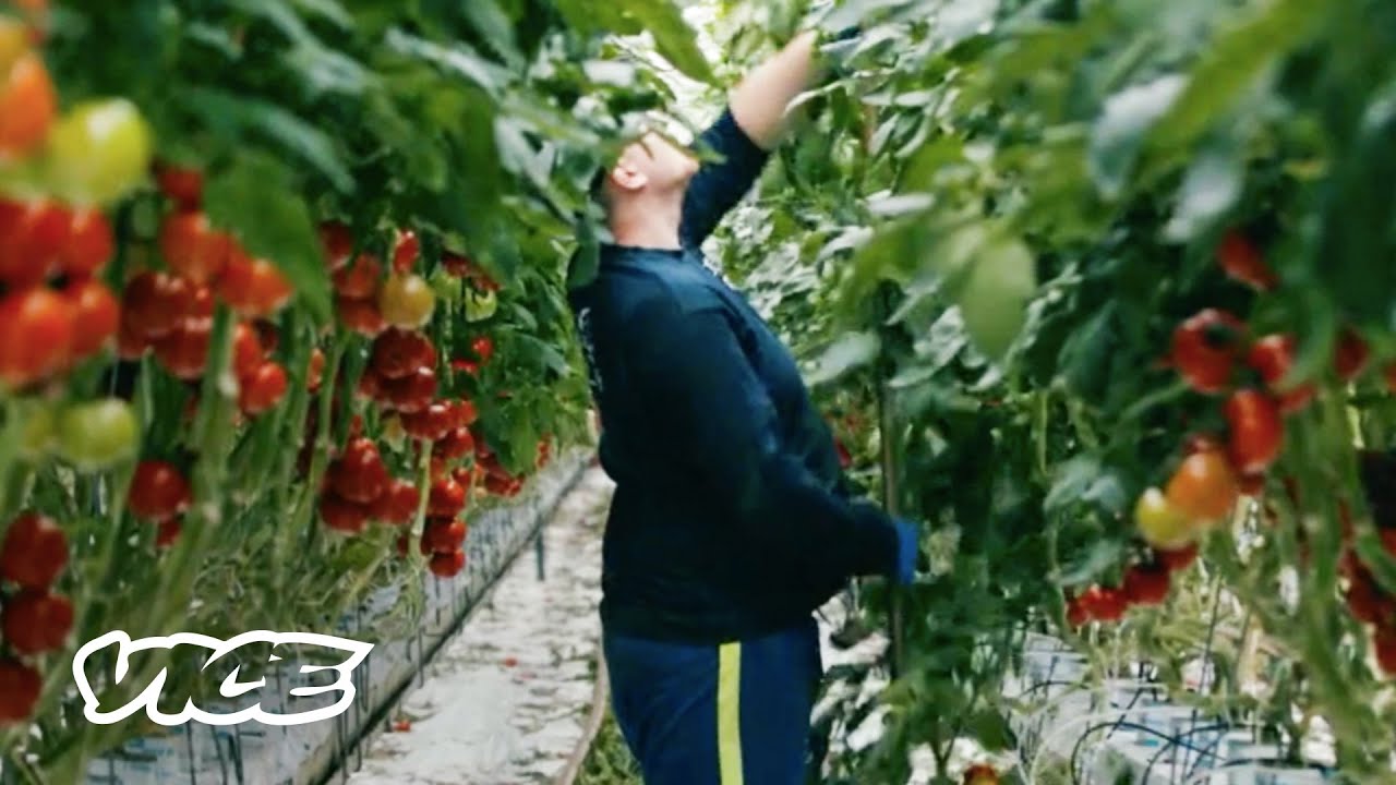The Unconventional Farms of the Future - YouTube