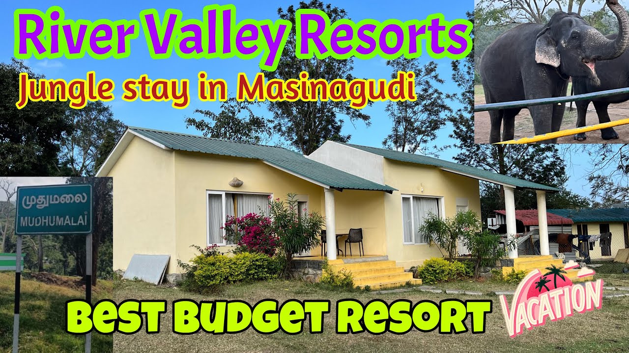 River Valley Resort Masinagudi | Best Resort In Masinagudi #masinagudi ...