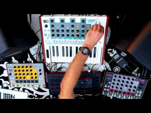 Nerdsession No.11 - Dapayk & Akai Rhythm Wolf, Timbre Wolf, Tom Cat & MPC Touch