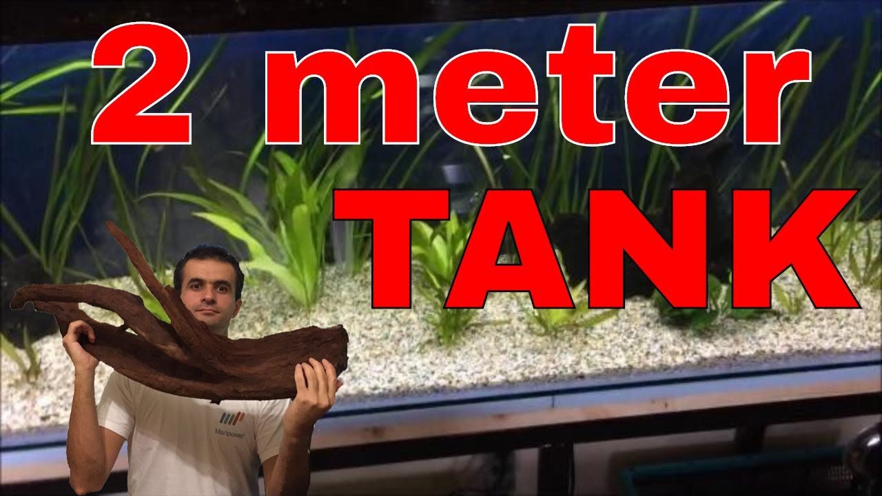 2 meter aquarium final update - YouTube