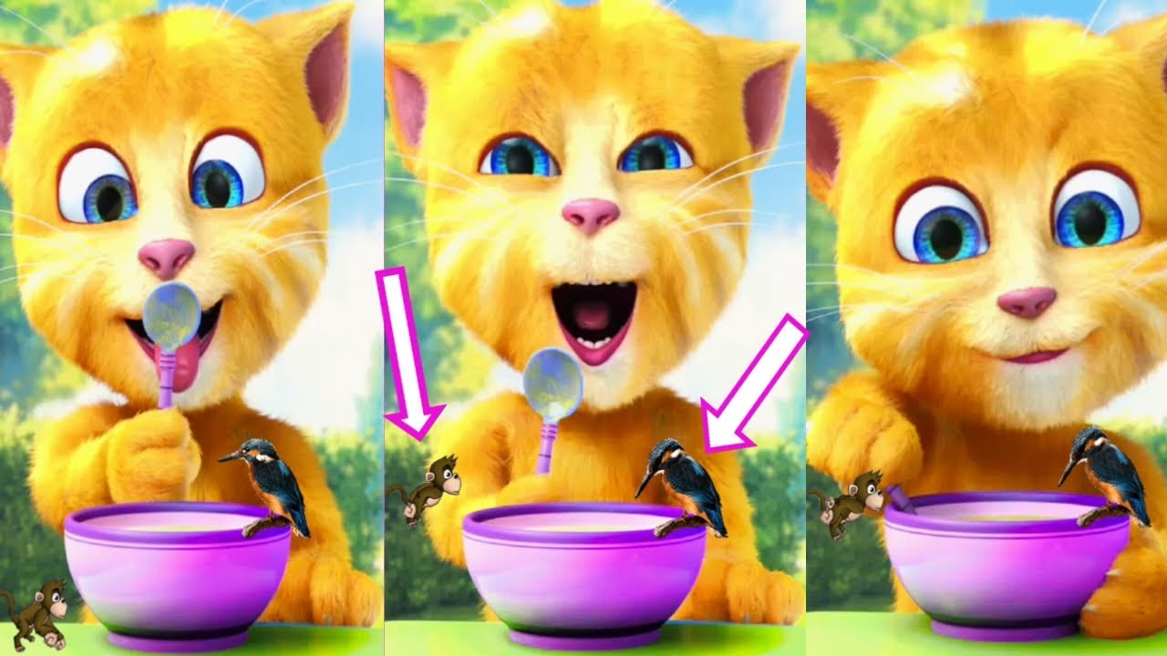 talking ginger 2 🍎🥦🌽🍒 | talking ginger eating | talking ginger 2 eat ...