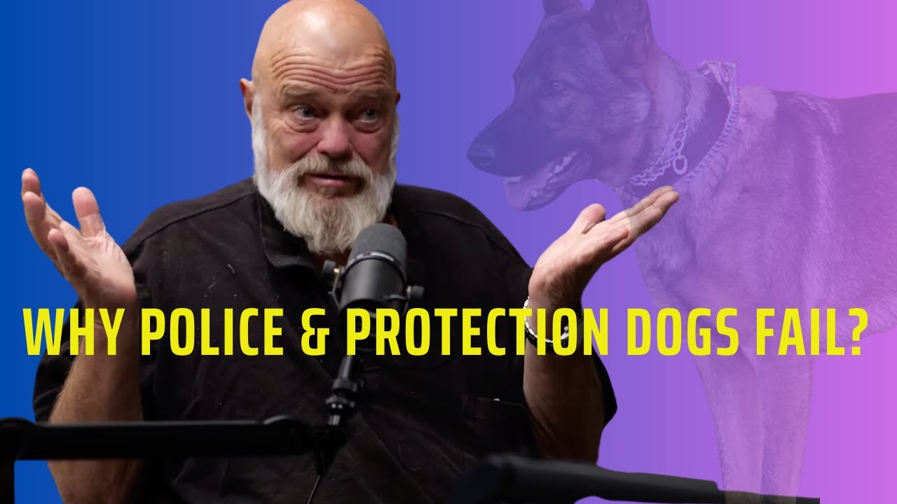 Why Police and Protection Dogs Fail In Real Life Scenarios - YouTube