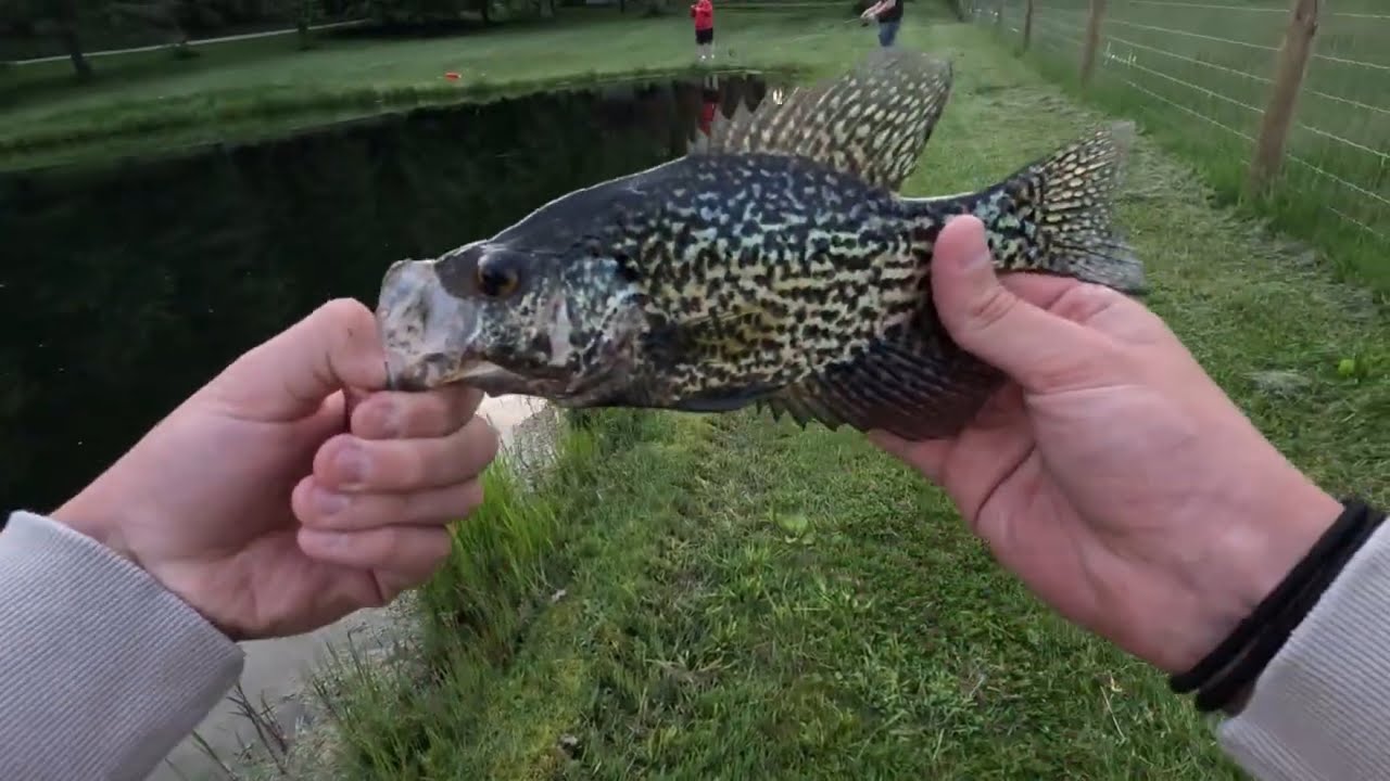 Back to Ripping Lips (First fishing trip of the season) - YouTube