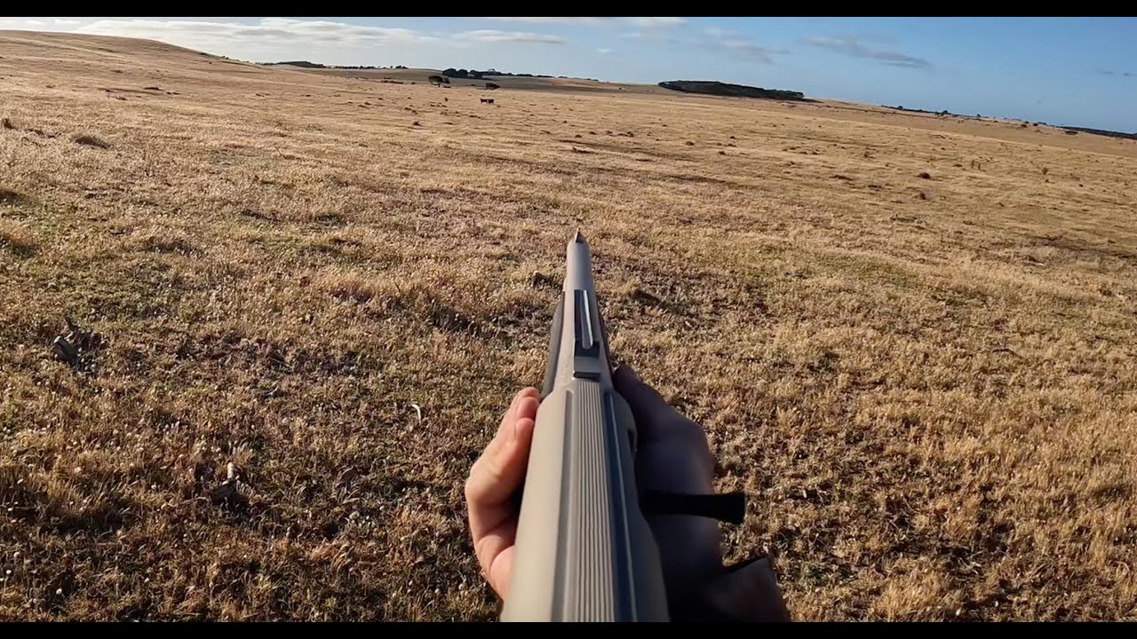 Rabbit Hunt with Adler b22 Shotgun - YouTube