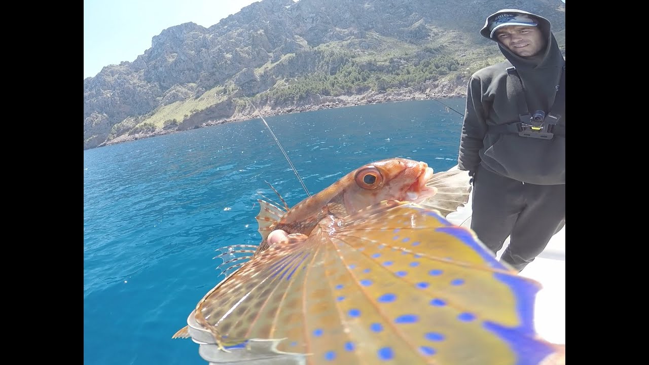 PESCANDO MORRALLA!!! CON MORRALLA TV - YouTube