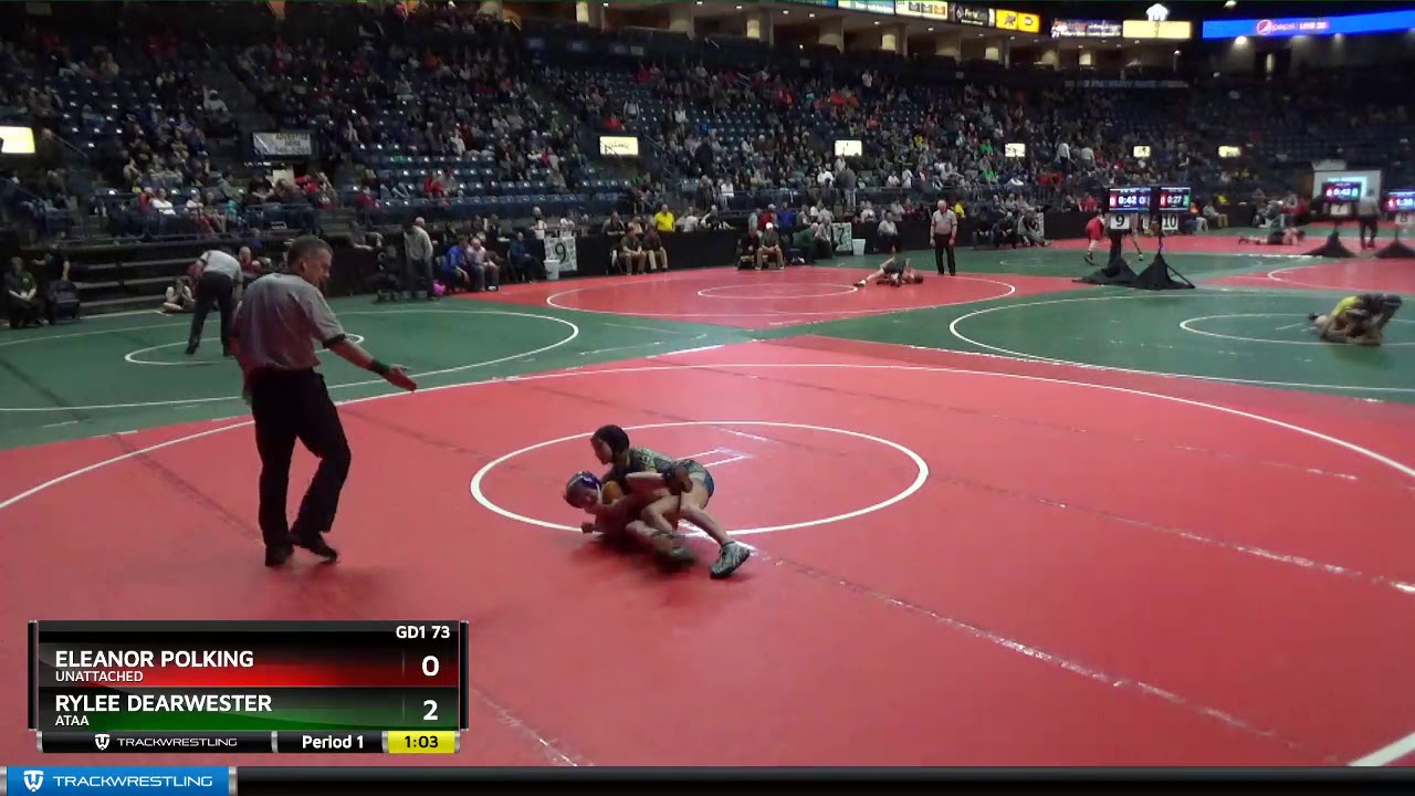 Rylee Dearwester ATAA vs Eleanor Polking 2019 OAC Girls State D1 73lbs ...