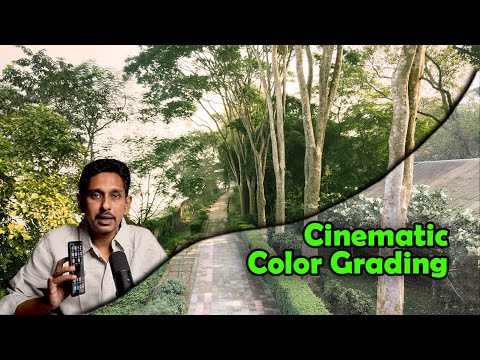 Cinematic Color Grading Tutorial for Mobile । Capcut Bangla Tutorial । সিনেমাটিক কালার গ্রেডিং ...