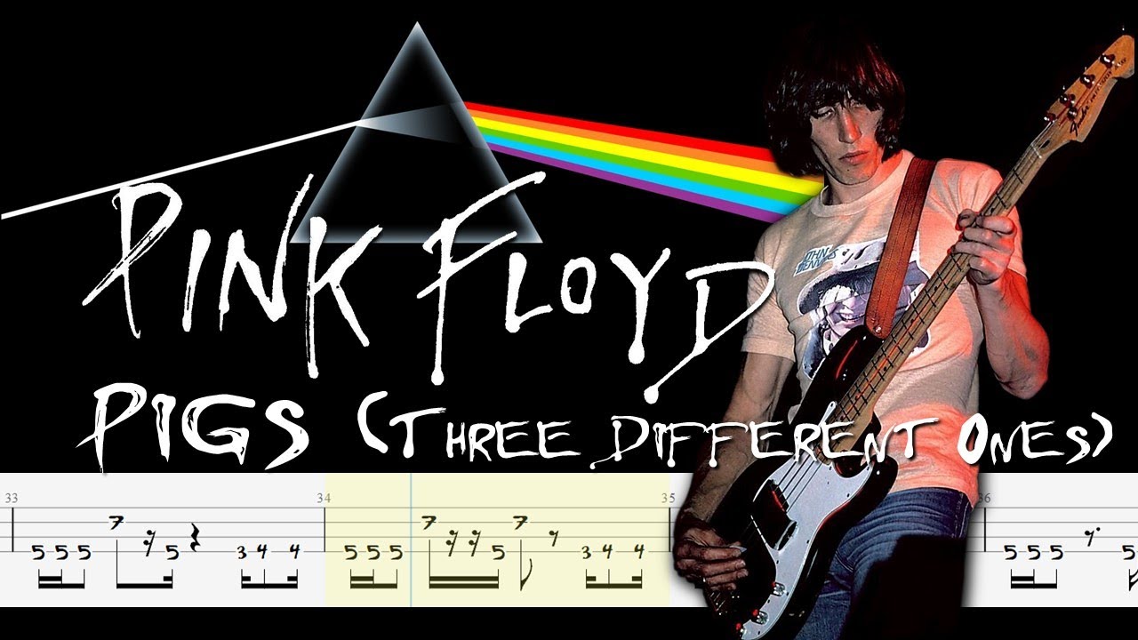 Pink Floyd - Pigs (Three Different Ones) (🔴Bass Tabs | Notation ) By ...