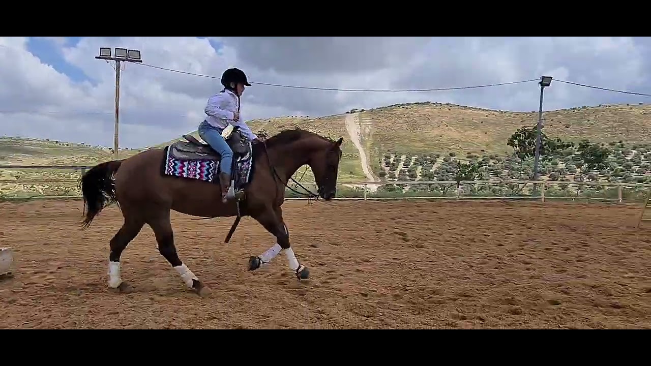 Hallel Asherov & Oleva darin chic 1929 12 and under ליגה אינטרנטית ...