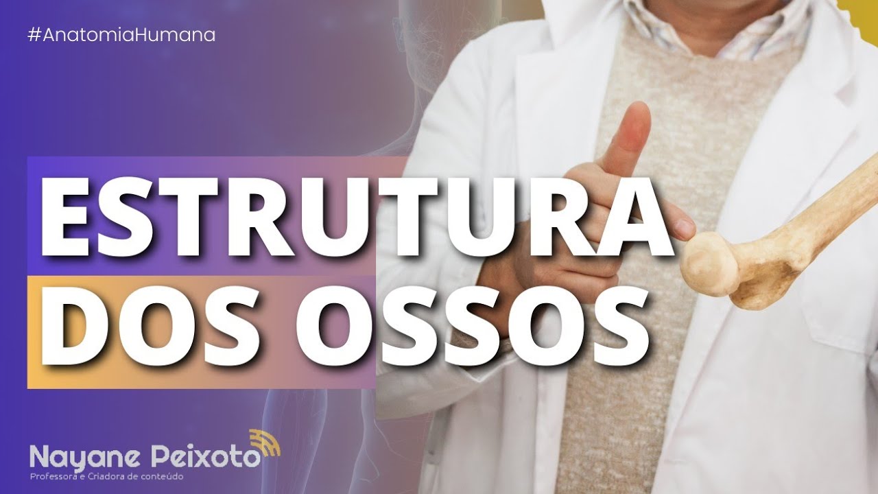 #3 Estrutura do osso longo e do diploe - YouTube