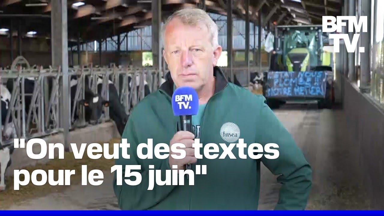 Colère des agriculteurs: l'interview en intégralité de Luc Smessaert ...