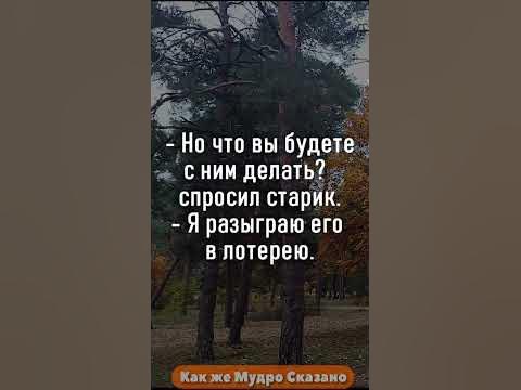 Бизнес по-еврейски? Еврейская Притча #притчи #shorts - YouTube