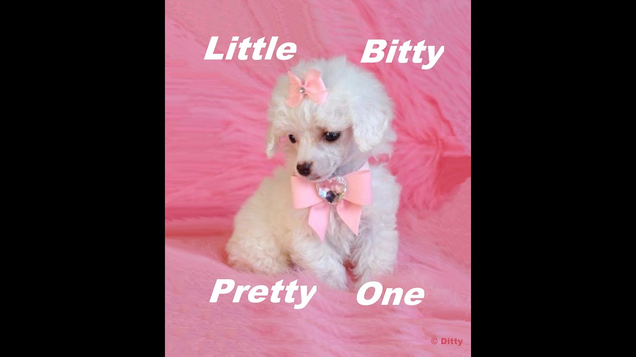 Ditty - Little Bitty Pretty One (HD Instrumental) - YouTube