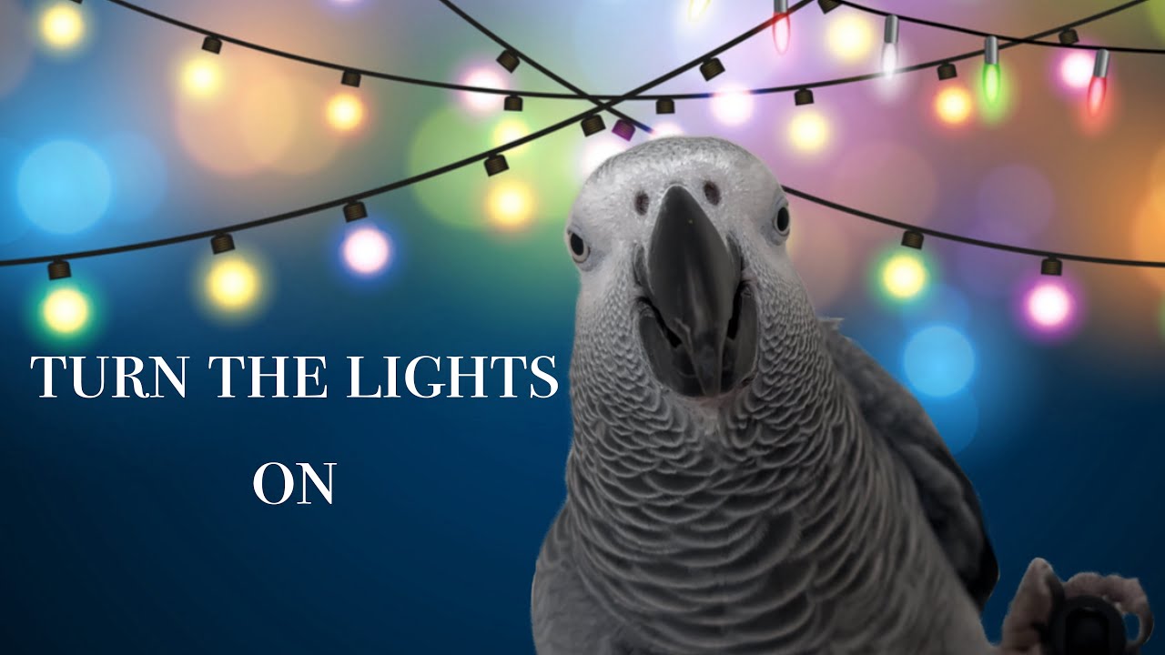 Turn the lights on - YouTube