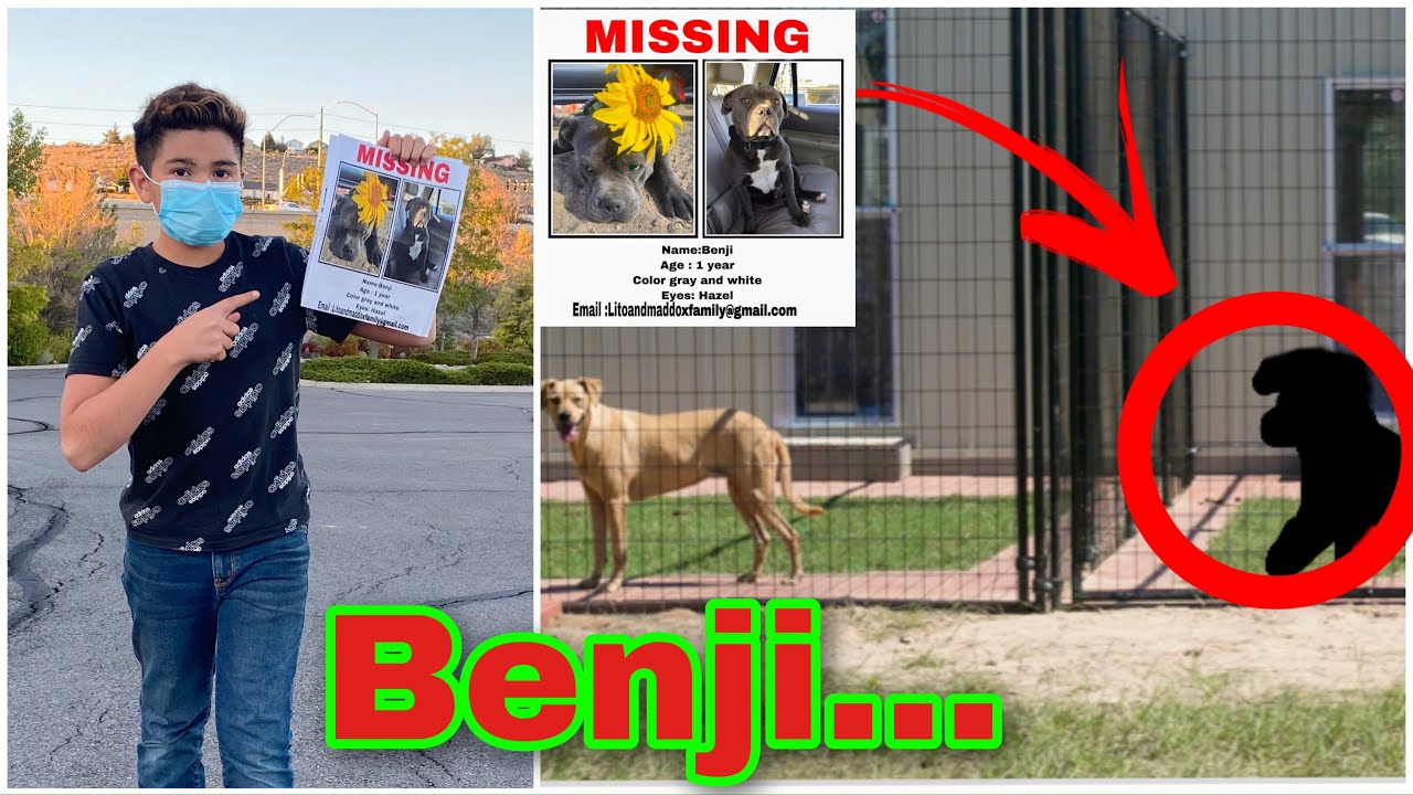Will our sister finally meet BENJI (surprising news)|Lito and Maddox ...