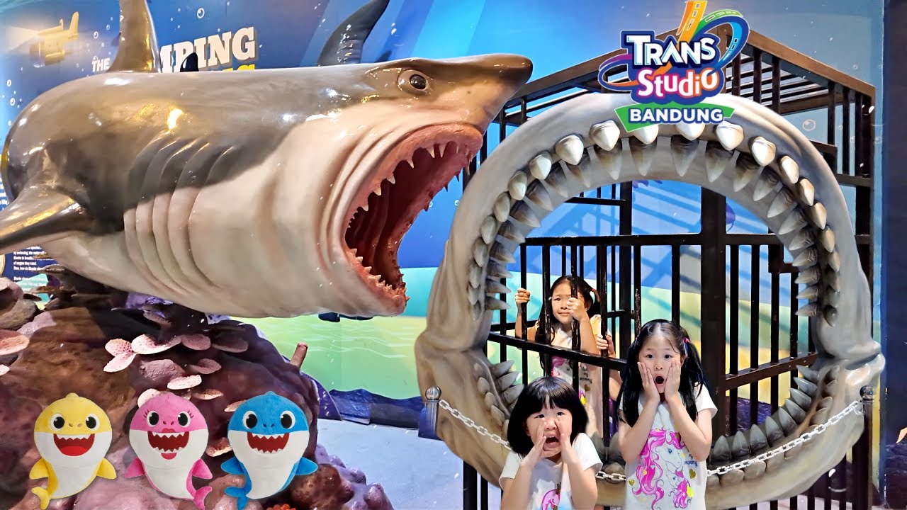 Ketemu Baby Shark dan Hiu Terbesar Megalodon di Museum Trans Studio ...