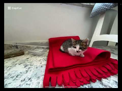 Aramıza hoşgeldin boncuk ￼