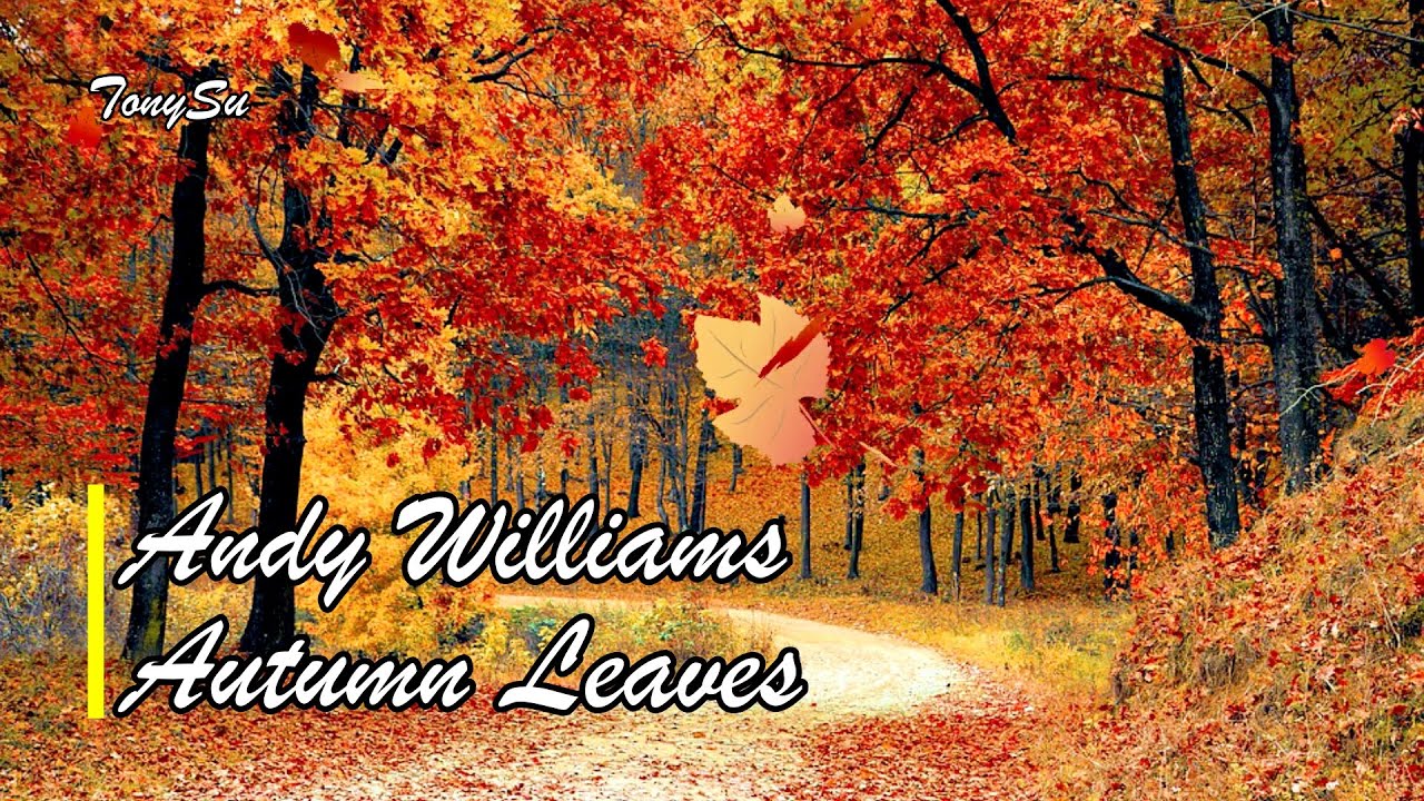 《經典情歌》Autumn Leaves (秋葉) - Andy Williams [中英歌詞] lyrics 4K - YouTube