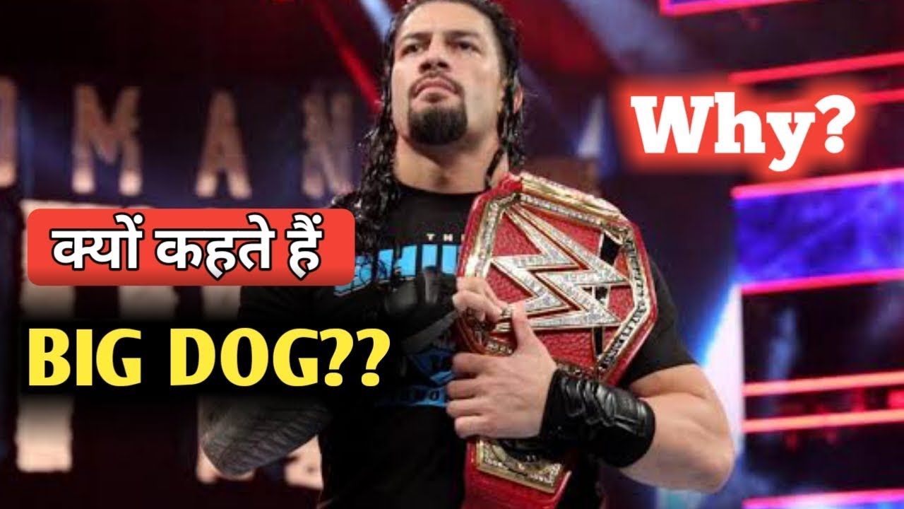 Why Roman Reigns is called the big dog?? Why Roman Reigns Known as BIG ...