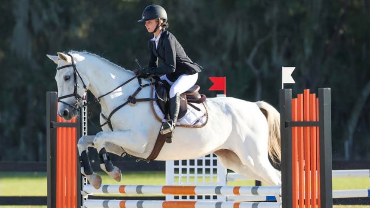 Raegan Samson || McLaren || Novice Eventing - YouTube