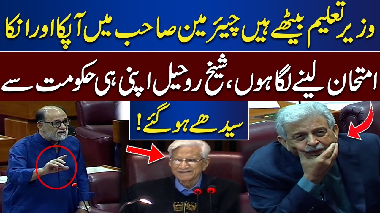 PML-N Leader Sheikh Rohale Asghar Assembly Mein Aag Bagola | National ...